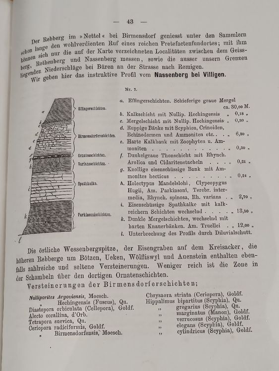 Antikes Buch Umgebung von Brugg AG Geologische Beschreibung (Gebraucht ...