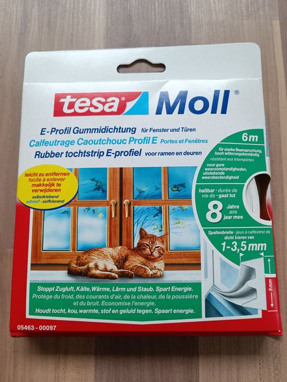 Tesa Moll Fenster