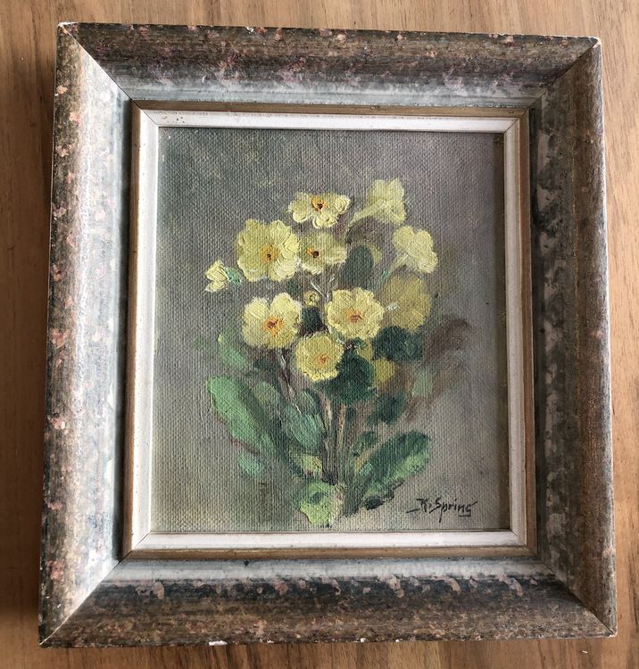 Bild gelbe Primeln von Karl Spring (Gebraucht) in Starrkirch-Wil für ...