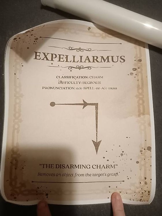 Affiche sur toile Harry Potter expelliarmus | Kaufen auf Ricardo