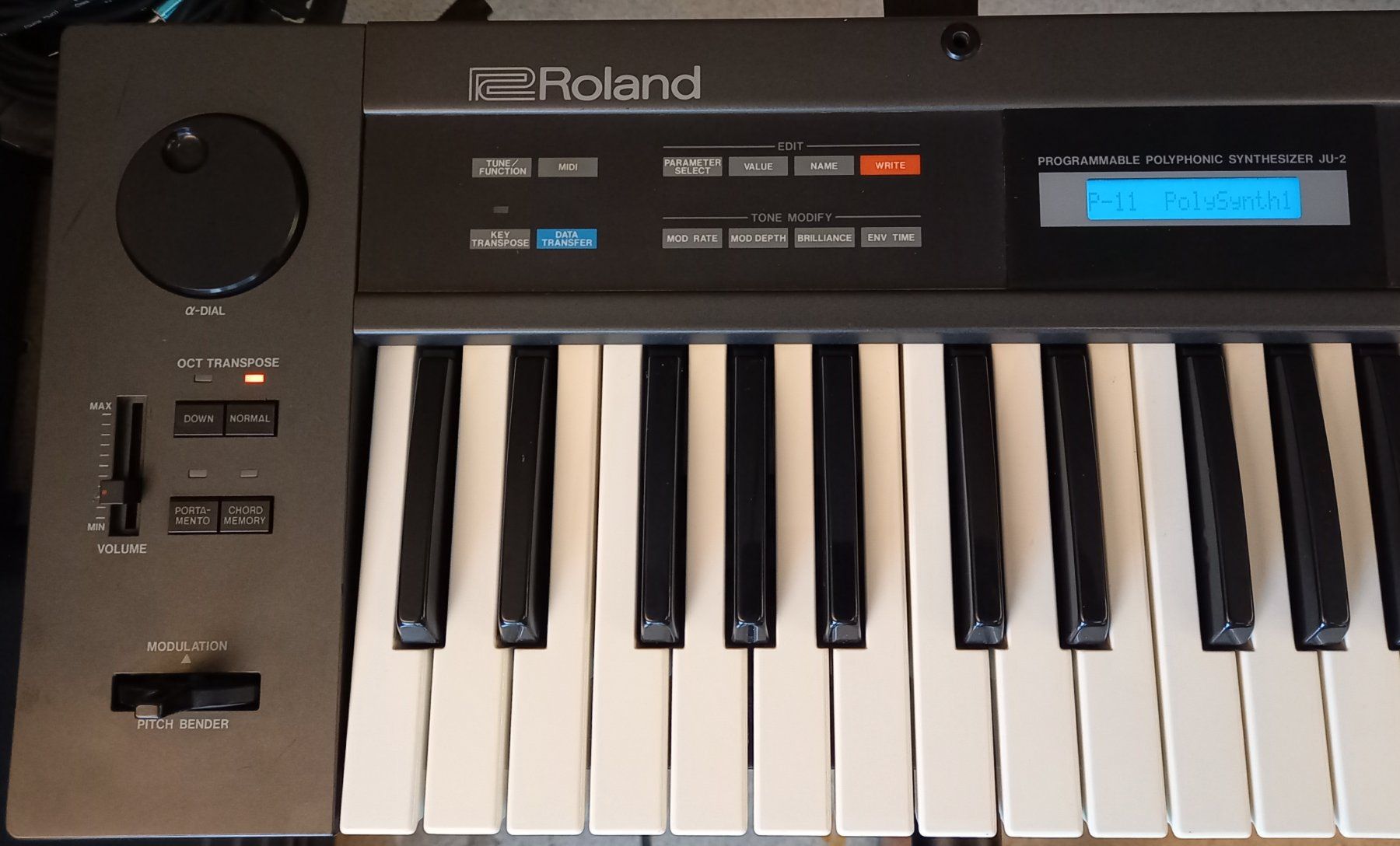 Roland Alpha Juno 2 mit M-16C Cartridge (Gebraucht) in Luzern für CHF ...