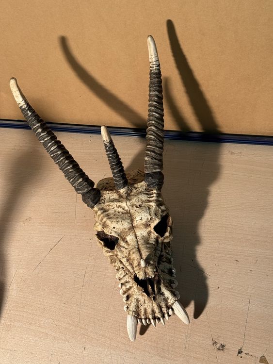 large detailed medieval dragon skull (D'occasion) à Lausanne pour CHF ...