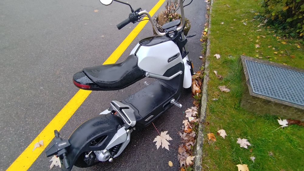 Sunra Miku Max | Kaufen auf Ricardo