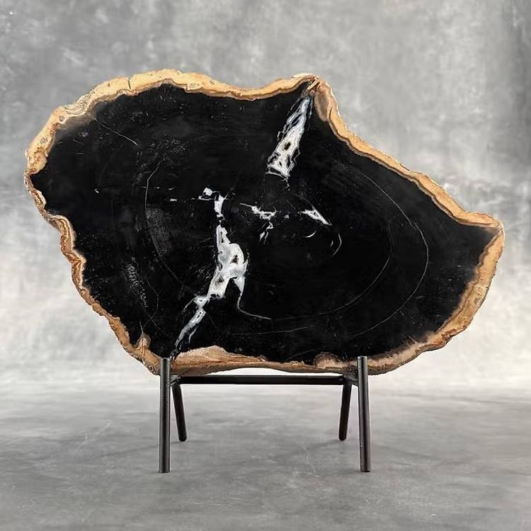 Palma Pietrificata con agata e corteccia 23 milioni di anni (Nuovo (secondo la descrizione)) a ...