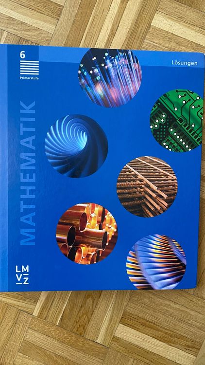 Mathematik Primarschule LMVZ lösungsbuch 6 Klasse (Gebraucht) in Zürich ...
