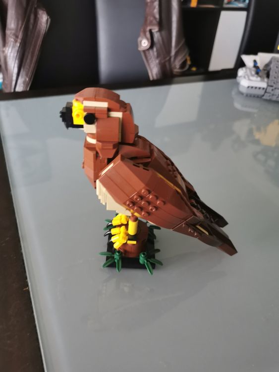 Bluebrixx 106706 - Mäusebussard | Kaufen auf Ricardo