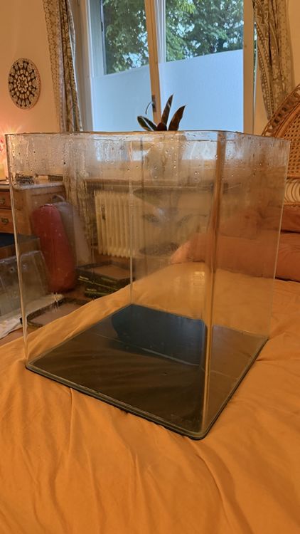 60 Liter Aquarium Dennerle Nano Cube (Neu (gemäss Beschreibung)) in ...