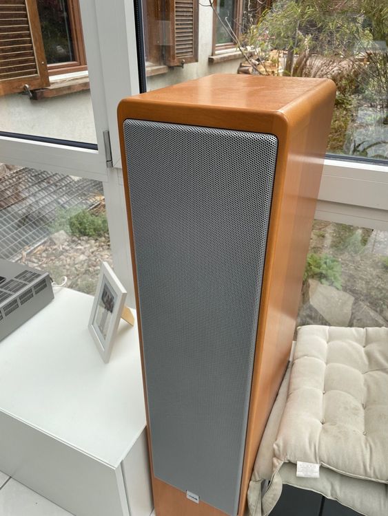 Canton Boxen Ergo 902 DC | Kaufen auf Ricardo