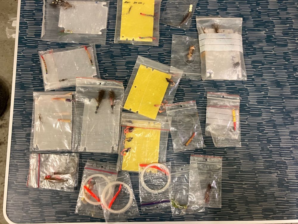 Egli Hegenen (Gebraucht) in Bubikon für CHF 11 – mit Lieferung auf ...