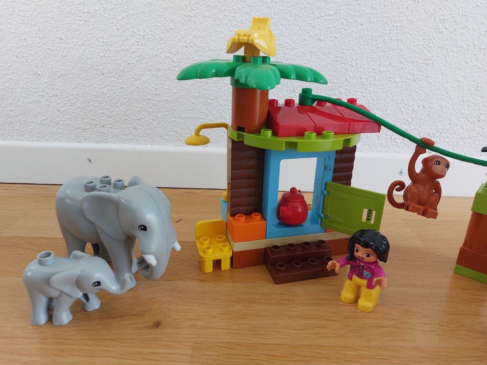 LEGO Duplo 10906 Baumhaus im Dschungel | Kaufen auf Ricardo