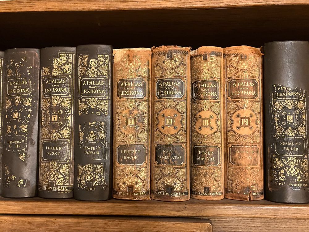 Pallas Nagy Lexikona ungarisch | Kaufen auf Ricardo