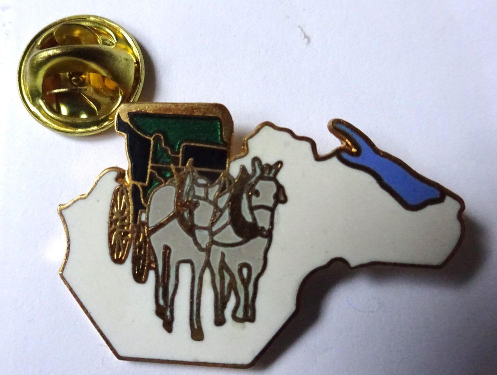 Pin Pferde Kutsche Bodensee, Nummeriert | Kaufen auf Ricardo