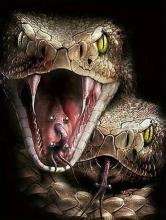 Diamant Painting Schlangen A120 (Neu und originalverpackt) in ...