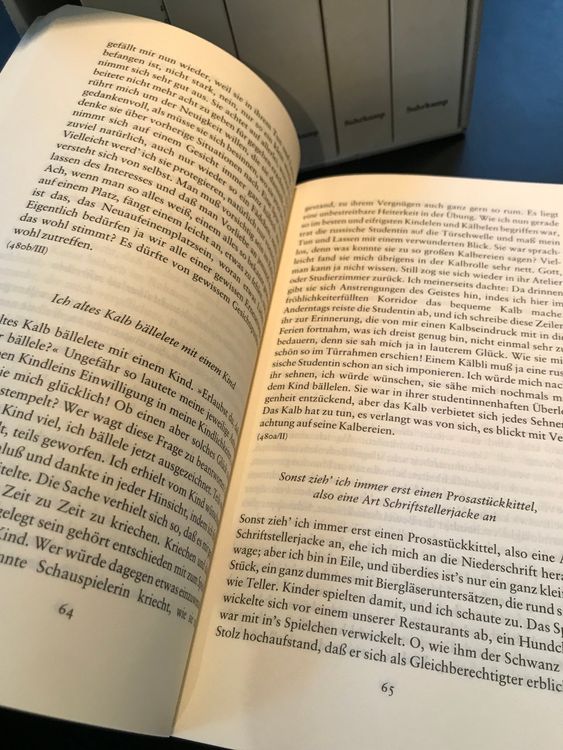 Aus dem Bleistiftgebiet - Robert Walser - Suhrkamp | Kaufen auf Ricardo