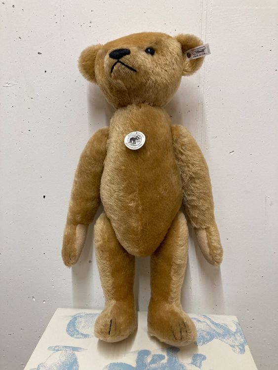 STEIFF Bär PGB 35 Replica 1904 (Neu und originalverpackt) in Kernenried ...
