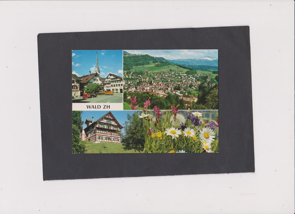 Carte Wald Zurich (D'occasion) à Bex pour CHF 1.3 – avec livraison | Acheter sur Ricardo