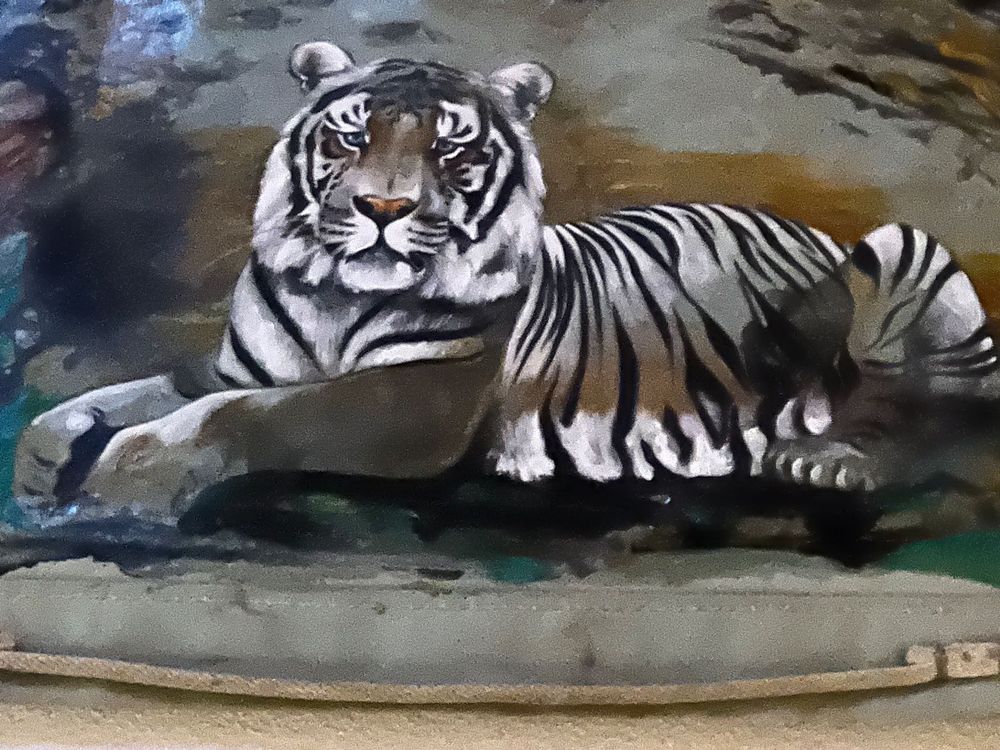 Rolf Knie Original auf Zelt (Gebraucht) in Igis für CHF 8200 – nur Abholung auf Ricardo kaufen