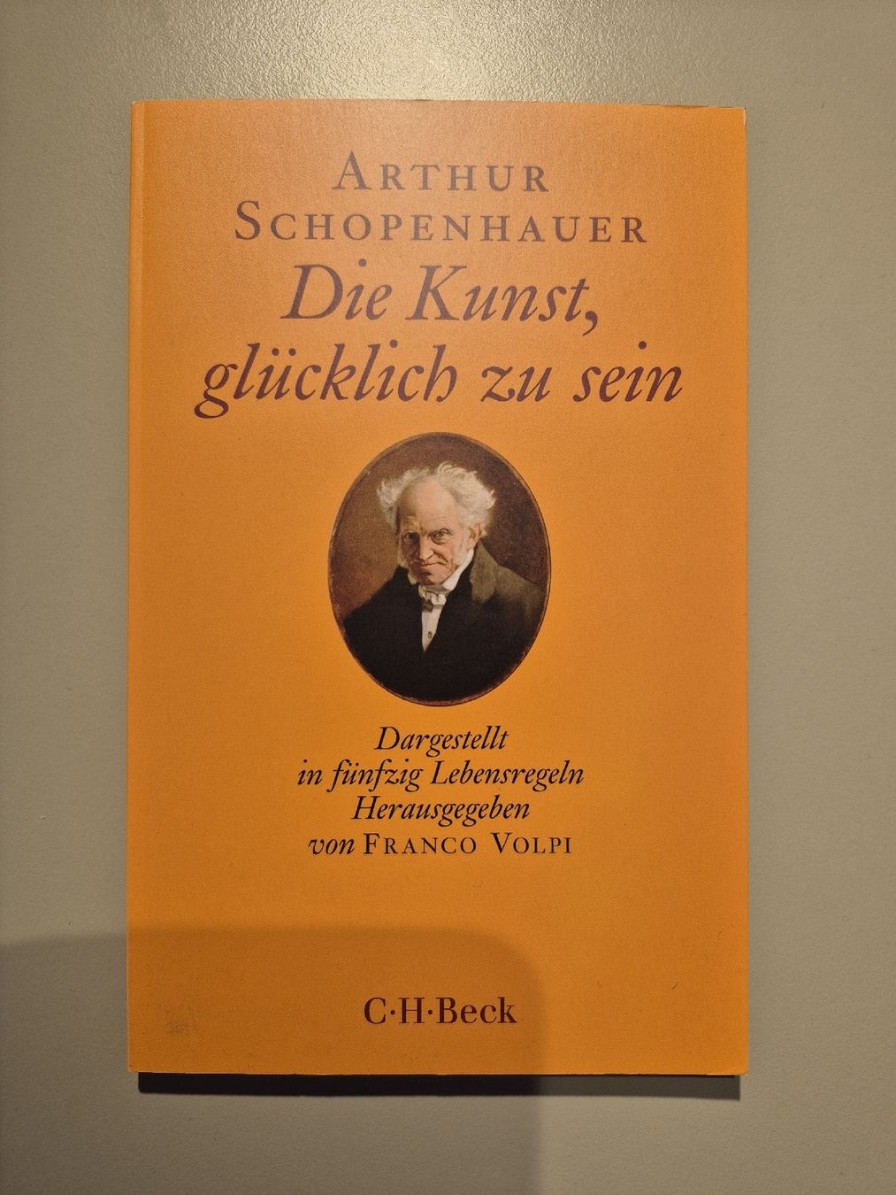 Schopenhauer: Die Kunst, glücklich zu sein - Top Zustand! (Neu (gemäss Beschreibung)) in Biel ...