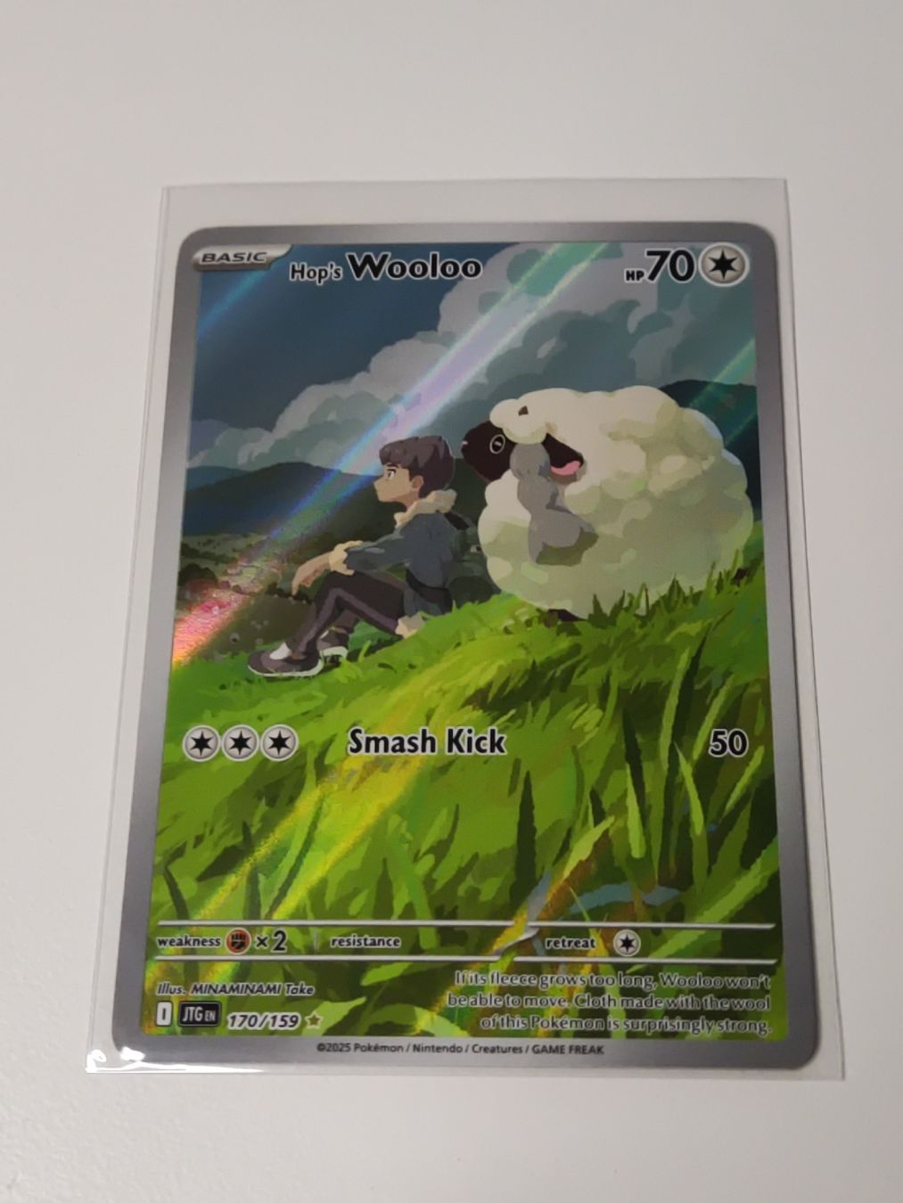 Pokemon Hop's Wooloo🇬🇧 Journey Together 170/159 (Neu (gemäss ...