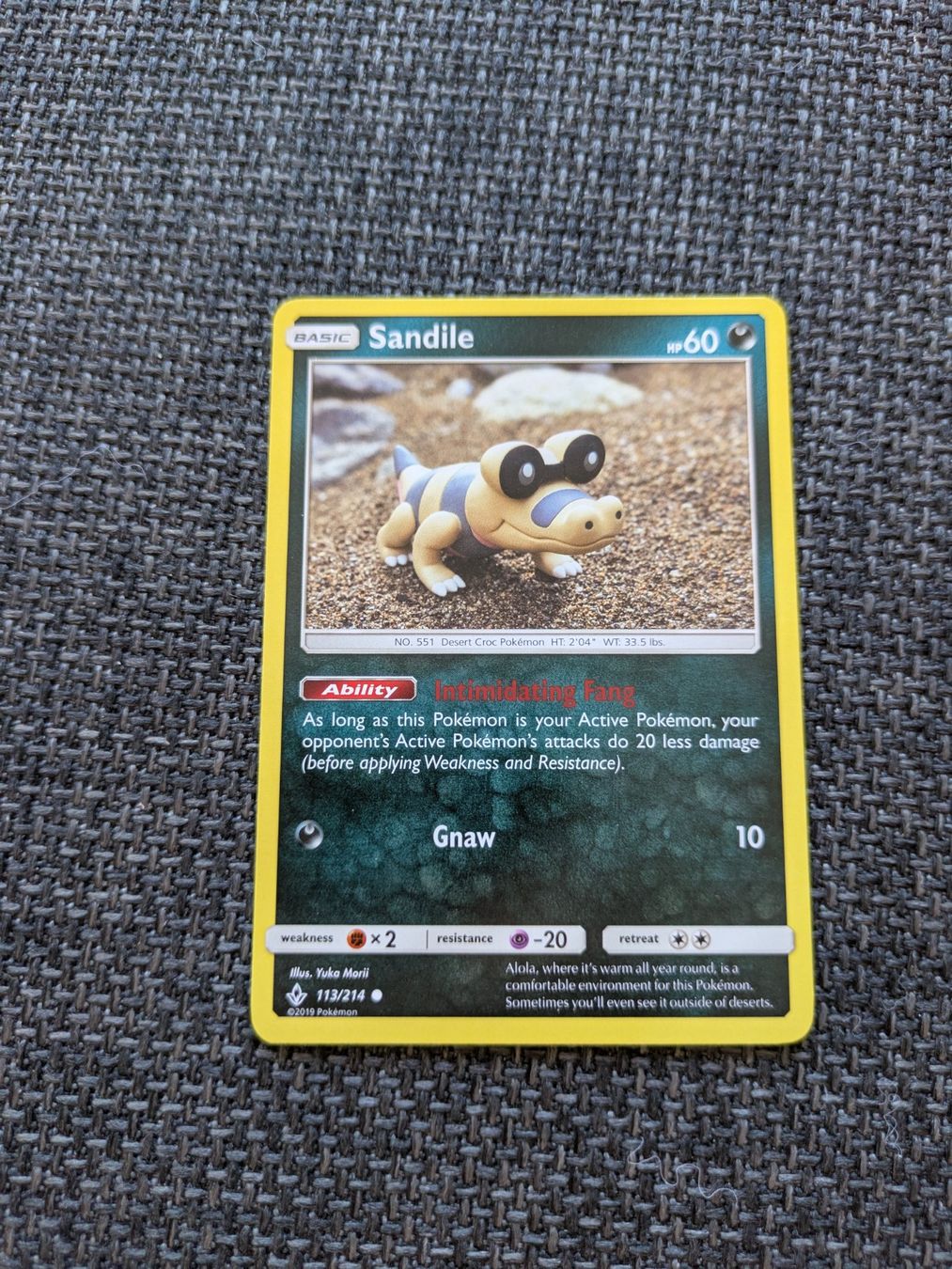 SANDILE, UNBROKEN BONDS, UNB113, COMMON, 2019, ENG, EXC (Gebraucht) in ...