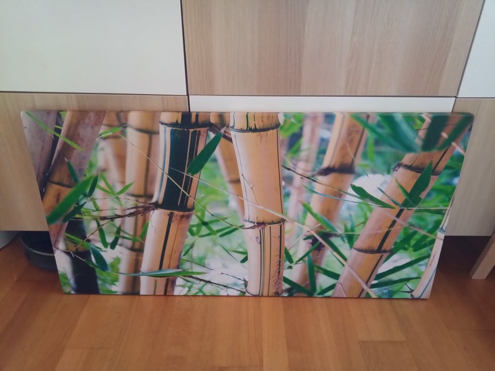 Toile tendue (tableau) design bambou 100x50cm | Kaufen auf Ricardo