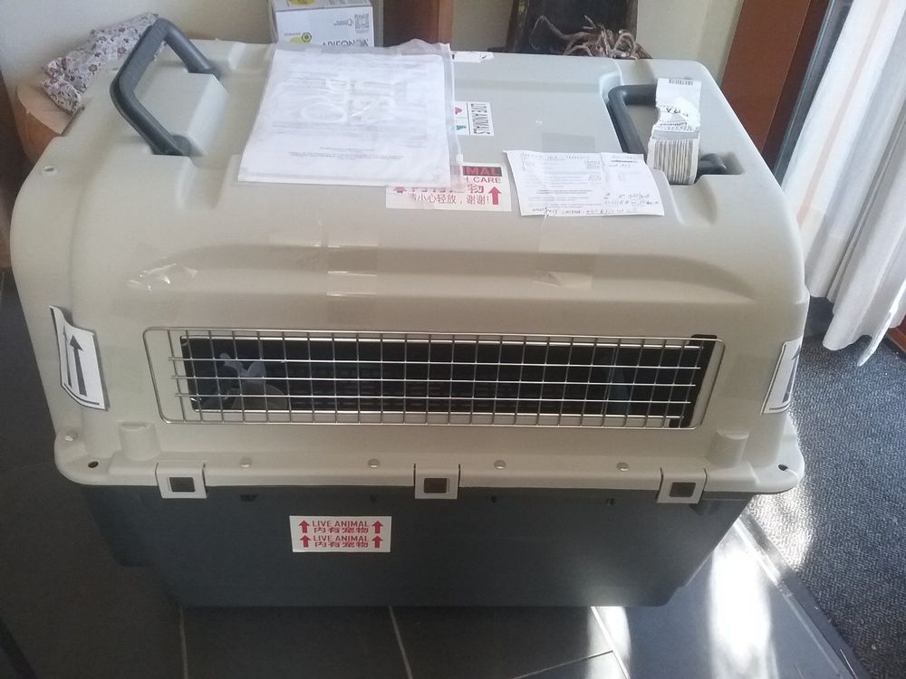 IATA Transportbox | Kaufen auf Ricardo