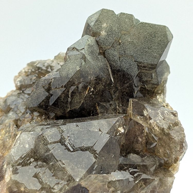 RAUCHQUARZ PLATT mit GRÜNEM CHLORIT, Mont Blanc (Nuovo (secondo la descrizione)) a Balerna per ...