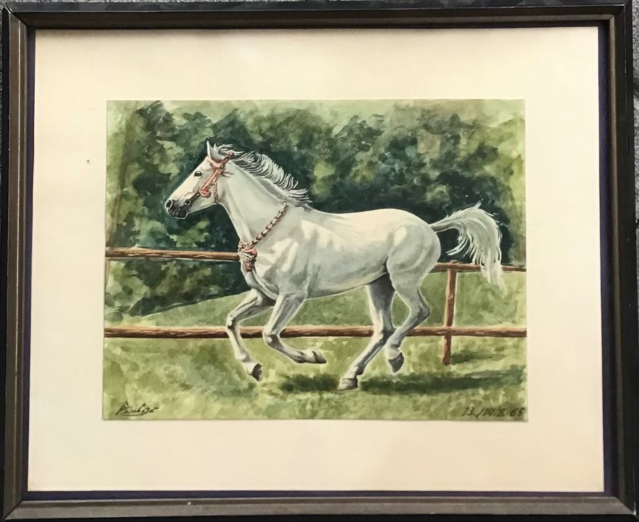 Galoppierende Pferd Aquarell Unleserlich Signiert (Gebraucht) in Root für CHF 10 – mit Lieferung ...