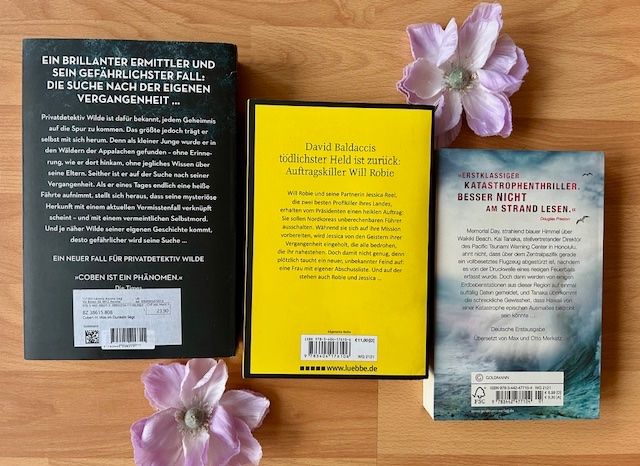 Harlan Coben, David Baldacci, Boyd Morrison, Chevy Stevens (Neu (gemäss ...