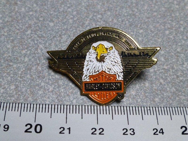 PIN PINS HARLEY DAVIDSON HOG ABZEICHEN CHAPTER V-TWIN (Gebraucht) in ...
