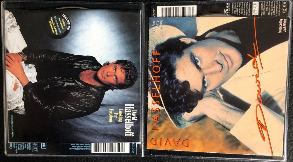 David Hasselhoff Sammlung 21 CD`s | Kaufen auf Ricardo