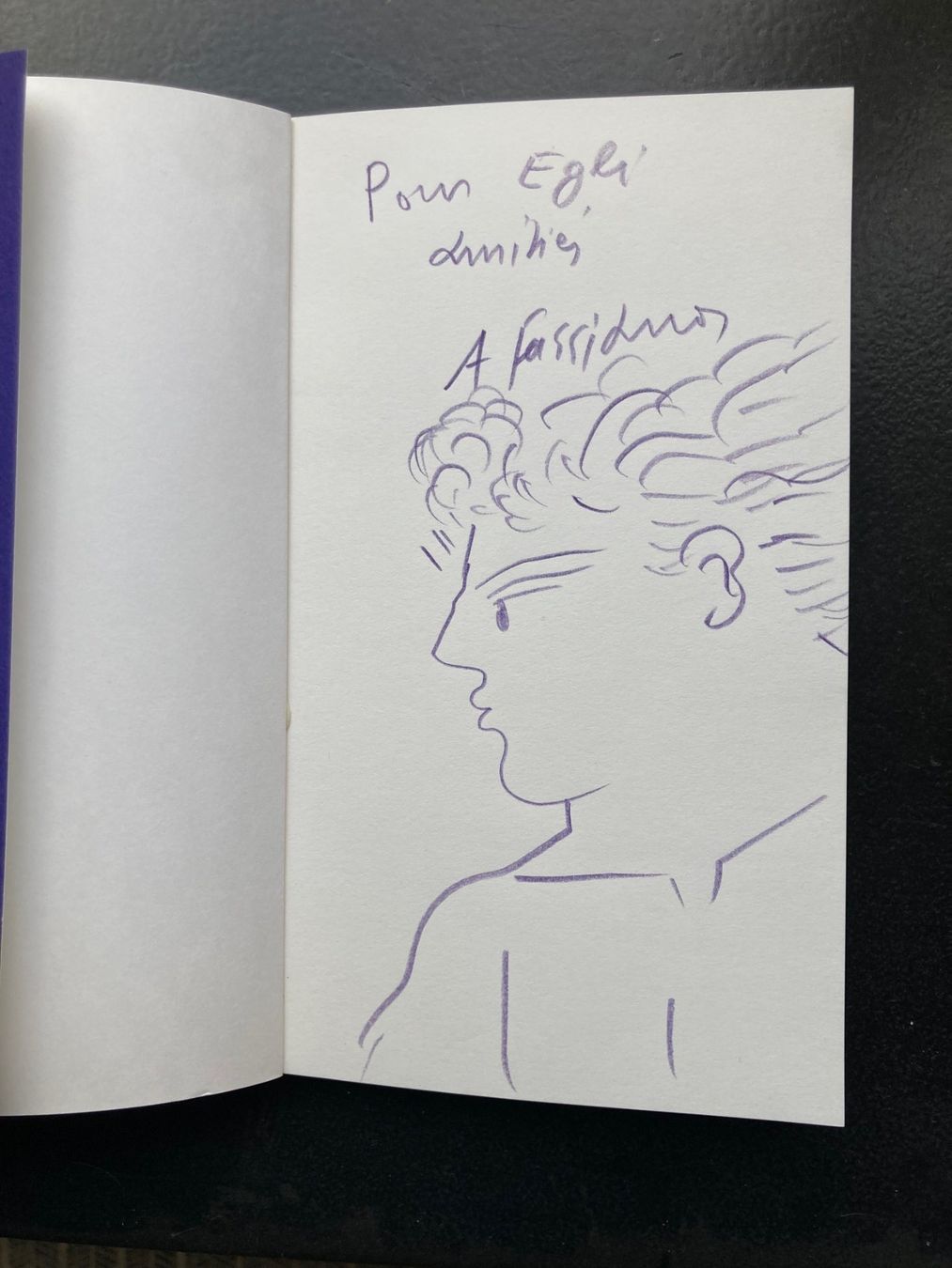 Alexandre Fassianos: L' envie du lézard, 1994 (Gebraucht) in Zürich für ...