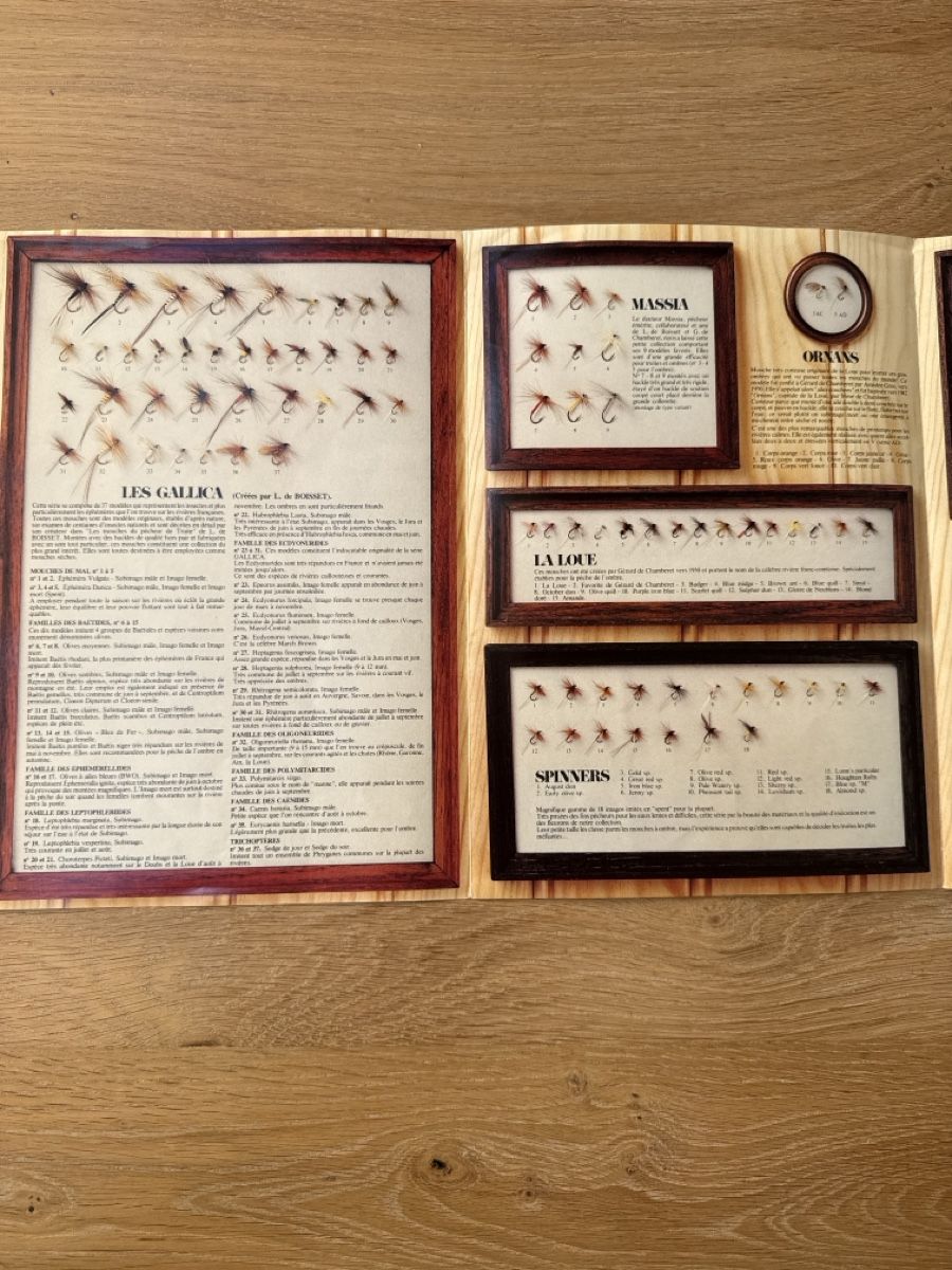 Rare plaquette déliante A4 mouches Pezon Michel Gallica (Gebraucht) in ...