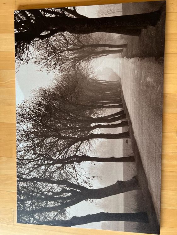 Leinwand Bild „Misty Road“ (Ikea) | Kaufen auf Ricardo