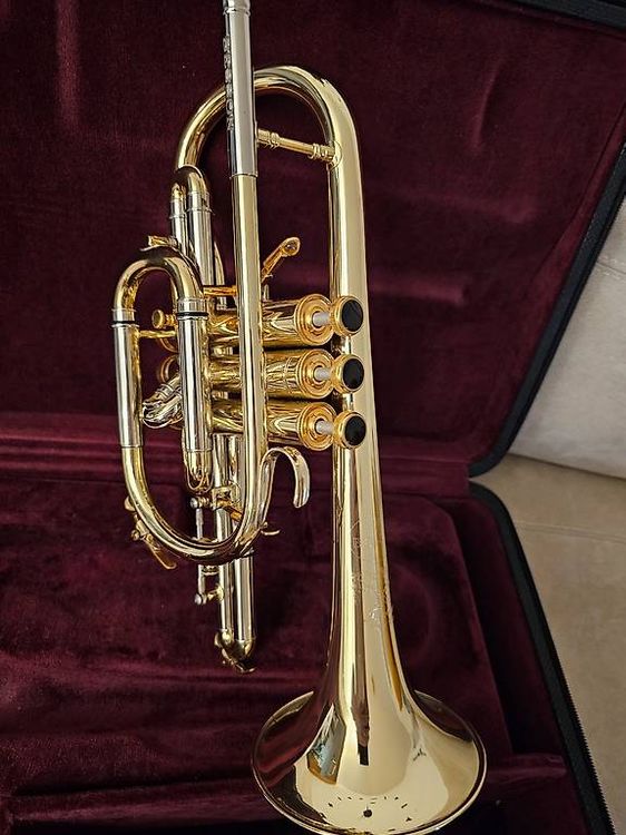 Cornet sib Besson Prestige 2028 - État impeccable (Gebraucht) in ...