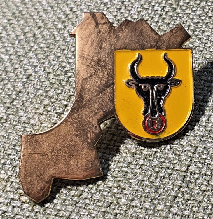 P028 - Pin Wappen mit Kantonsgrenze - Uri | Kaufen auf Ricardo