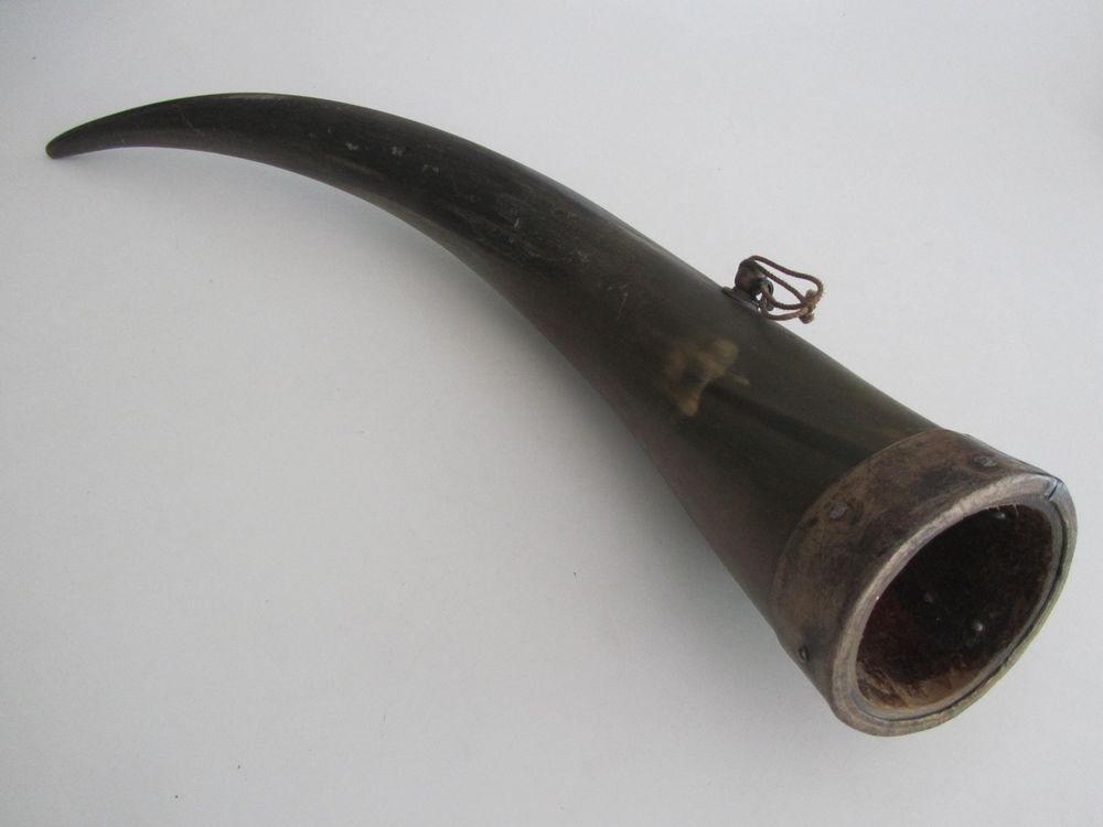 Corno/Hörner, Decorativo, Vintage (Gebraucht) in Locarno für CHF 46 ...