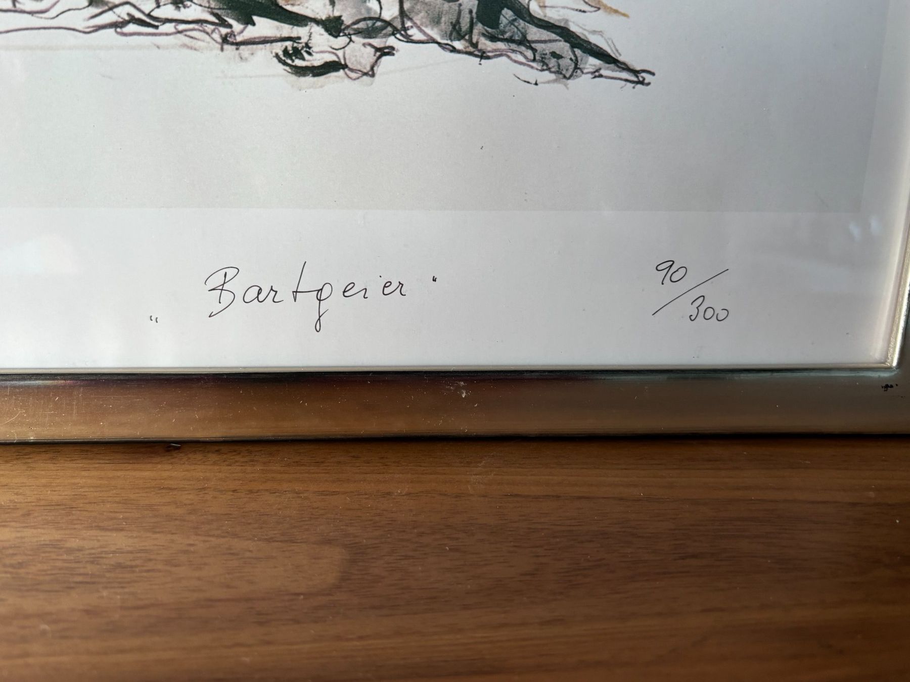 Bild Bartgeier, Elena Denoth, mit Weissgoldrahmen ums ECK (Gebraucht ...