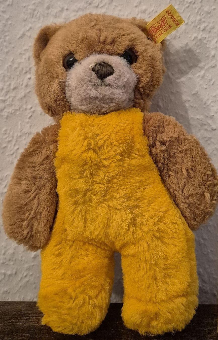 Steiff Teddy Bär Original Knopf im Ohr - Rarität 🐻 (Gebraucht) in ...