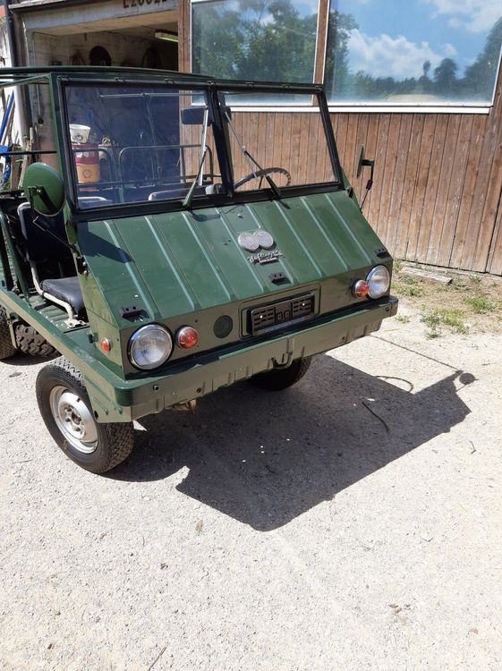 Haflinger Puch AP 700 | Kaufen auf Ricardo