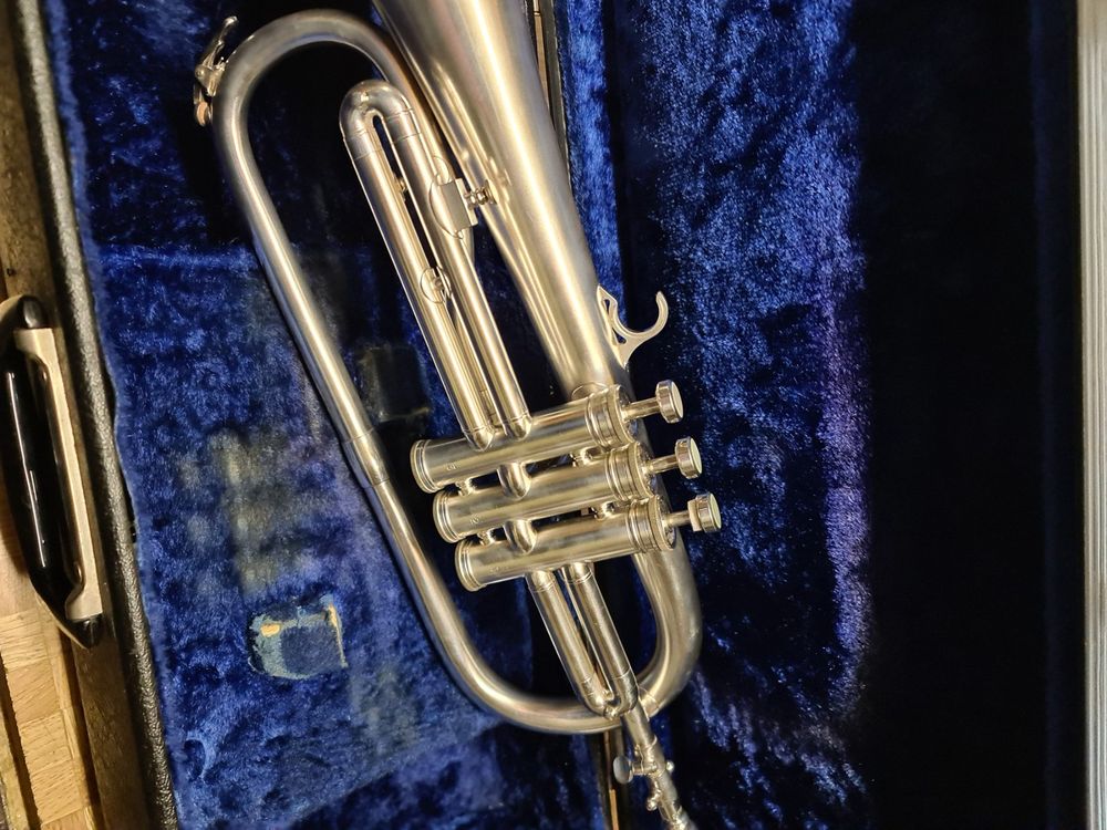 Bugle Sib (Gebraucht) in Troistorrents für CHF 300 – mit Lieferung auf ...