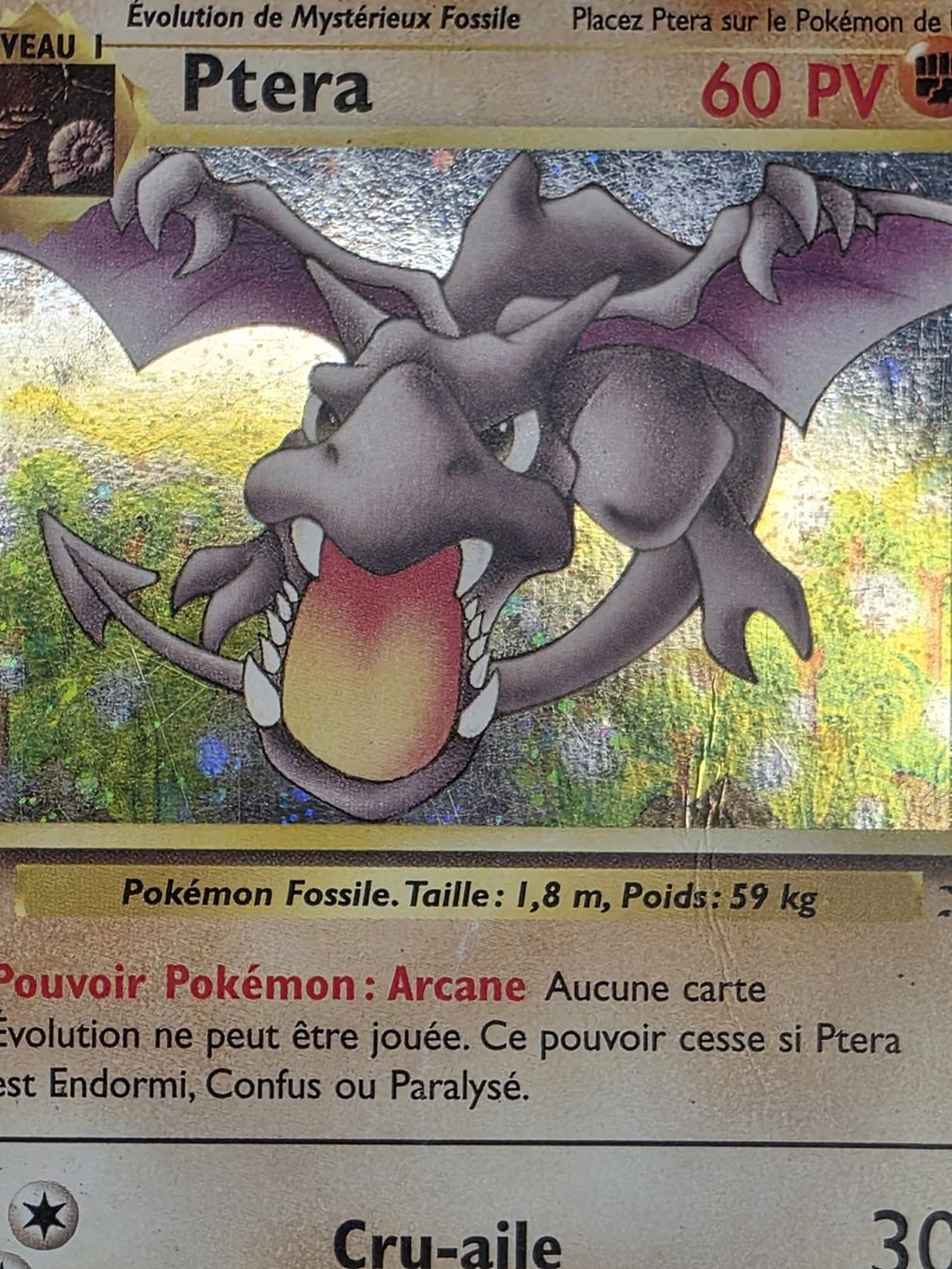 Ptera 1 Edition Fossile 1/62 Française Holo Wizards (Gebraucht) in ...