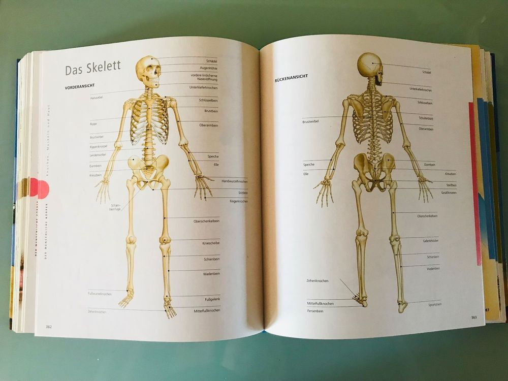 MEIN GROSSES BILDLEXIKON - LEXIKON FÜR KINDER - NEU (Neu (gemäss ...