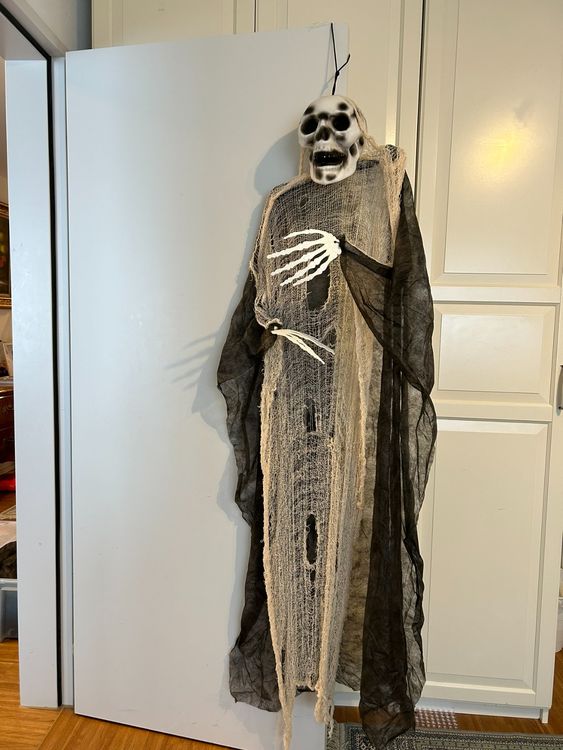 Halloween! Skelett - Squelette! (Gebraucht) in Küsnacht ZH für CHF 13. ...