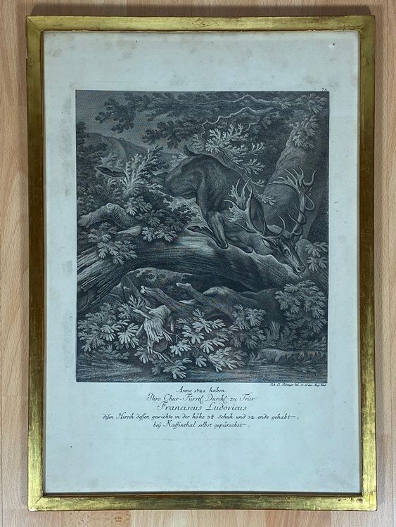 Ridinger Hirsch Jagd Kupferstich antik (Gebraucht) in Vaduz für CHF 69 – mit Lieferung auf ...