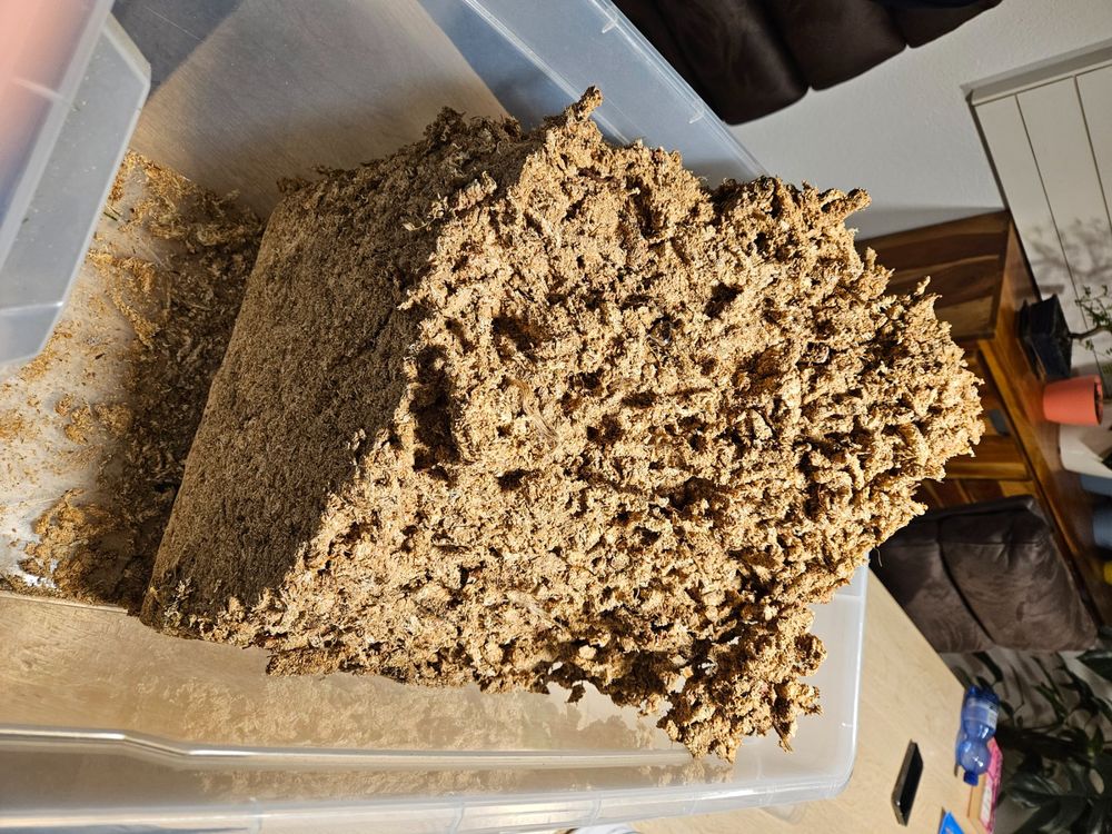 Torfmoos 0.5 KG Sphagnum Moos 500 gramm (Neu (gemäss Beschreibung)) in ...