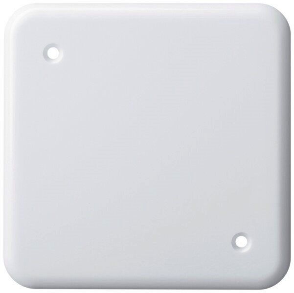 Abdeckplatte, 2 Befestigungslöcher weiss (Neu und originalverpackt) in Flums für CHF 2.1 – mit ...