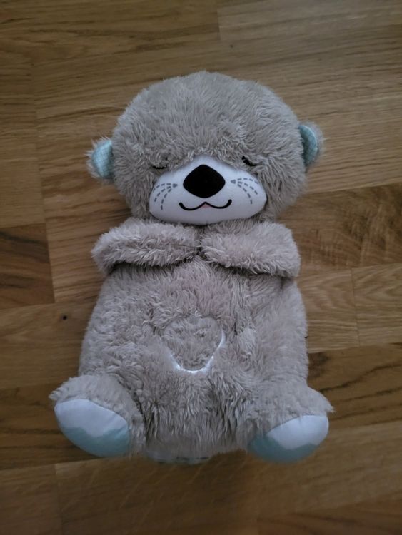 Fisher Price / Spieluhr / Schlummer-Otter | Kaufen auf Ricardo