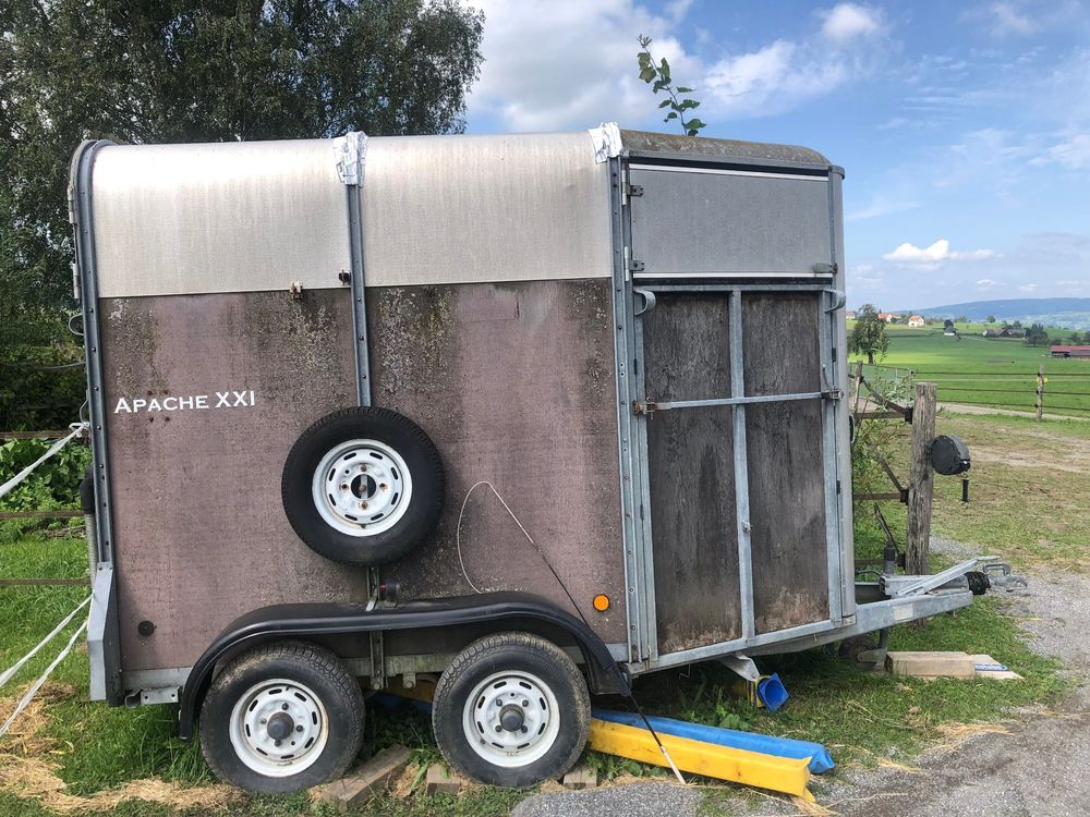 Pferdeanhänger Apache XXL zu verkaufen! | Kaufen auf Ricardo