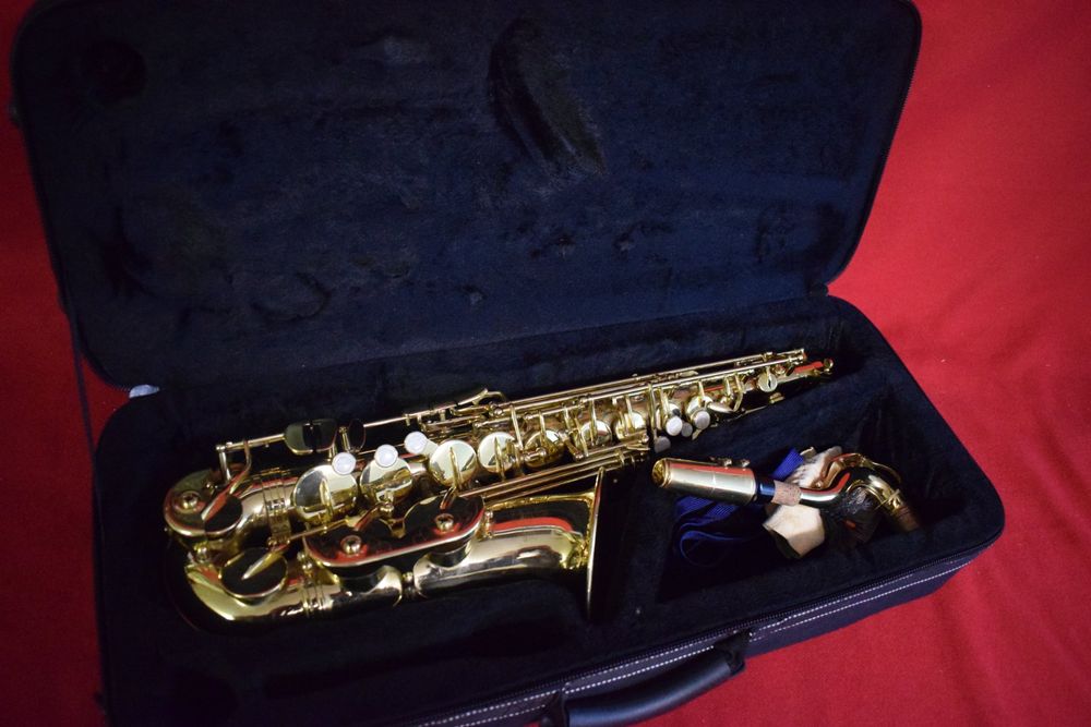 Alto saxophon ROY BENSON WIND INTRUMENTS AS-201, 10806240 (Gebraucht ...